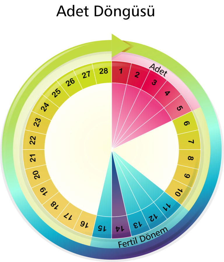 Regl (Adet) Dönemi ve Epilepsi – epilepsivehayat.com